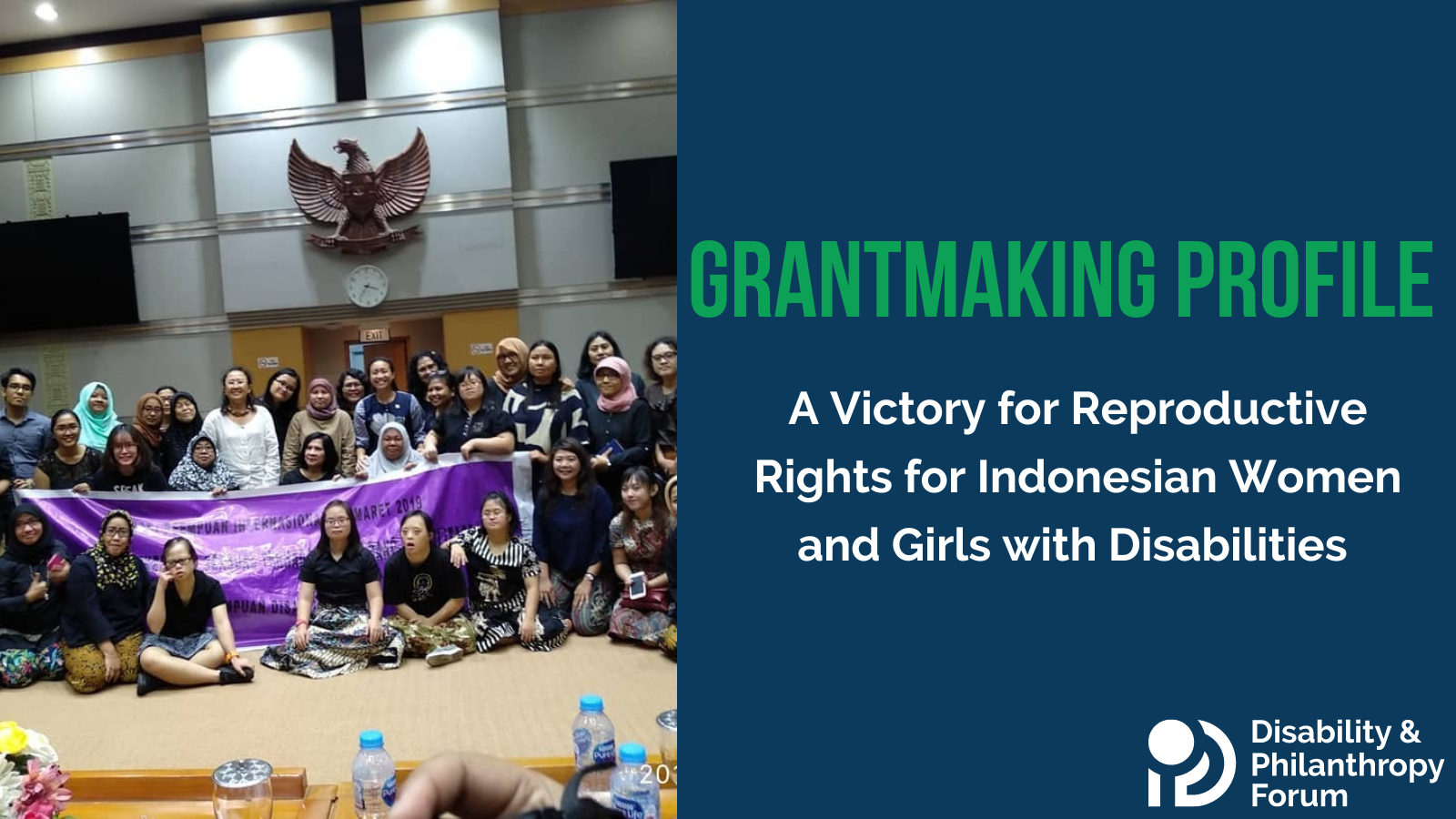 A Victory for Reproductive Rights for Indonesian Women and Girls with Disabilities - Disability ...